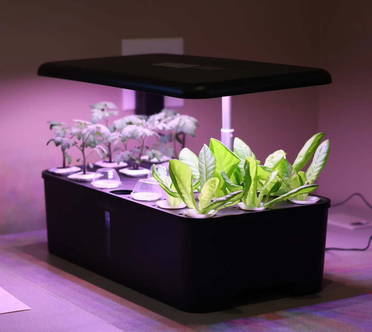 About URUQ — Smart Indoor Gardening & Aquaponics